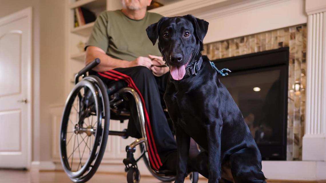 Former Navy SEAL connects retired service dogs with military vets ...