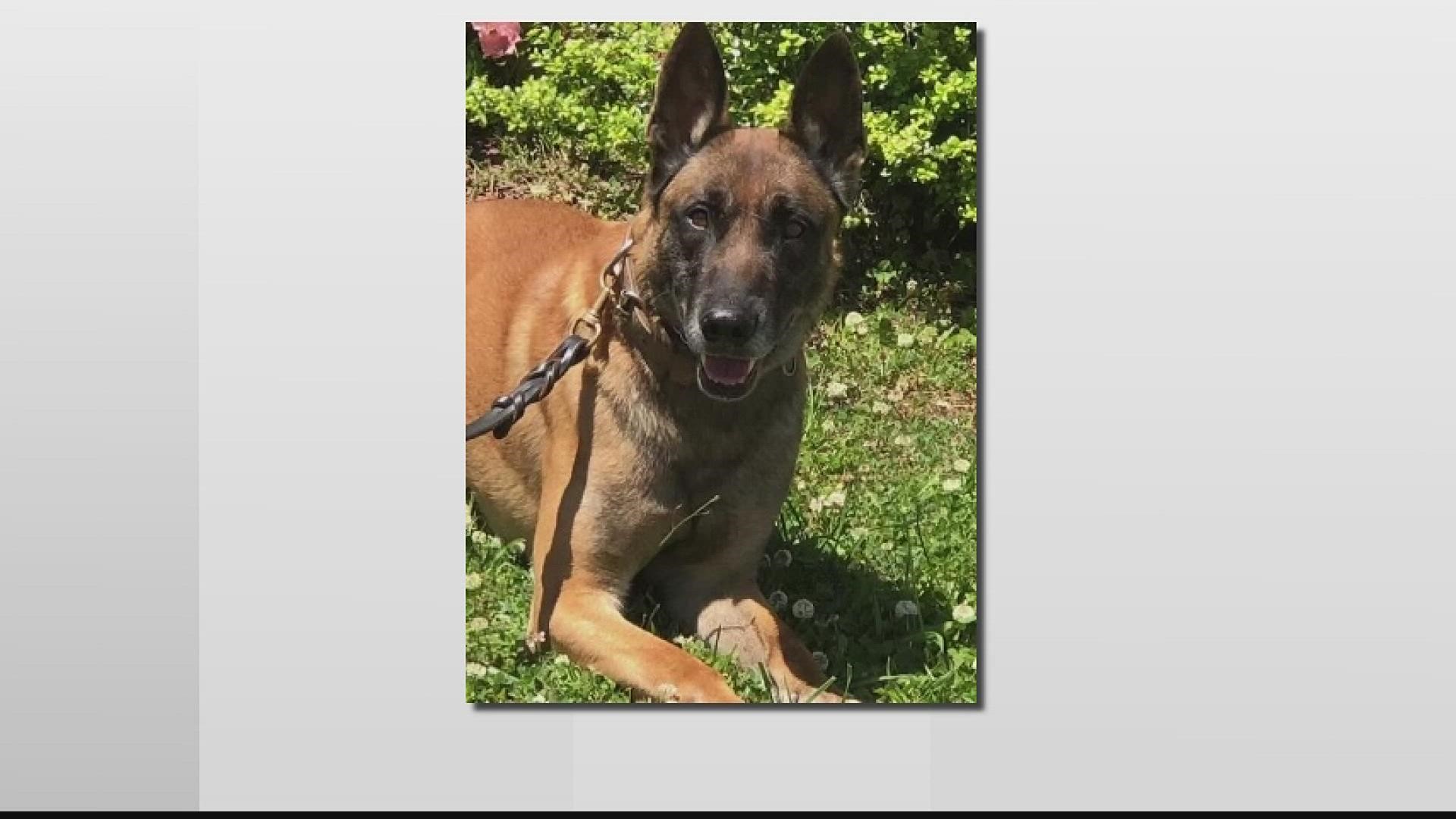 Atlanta K9 officer shot, killed | wtsp.com
