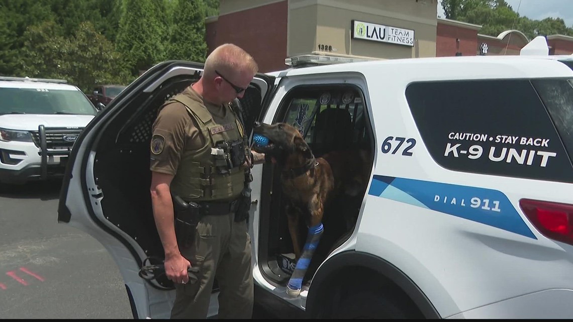 Georgia police K-9 Kai returns home after being shot | wtsp.com