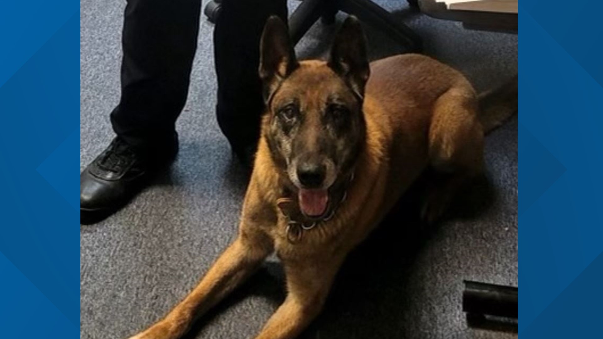 Atlanta K9 officer shot, killed | wtsp.com