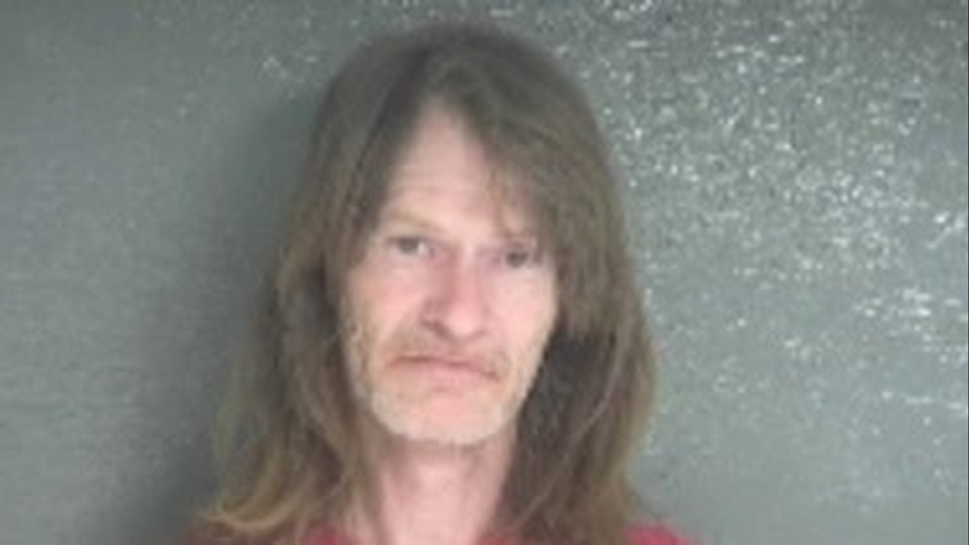 Suspect confesses to Michigan cold case murder 33 years later | wtsp.com